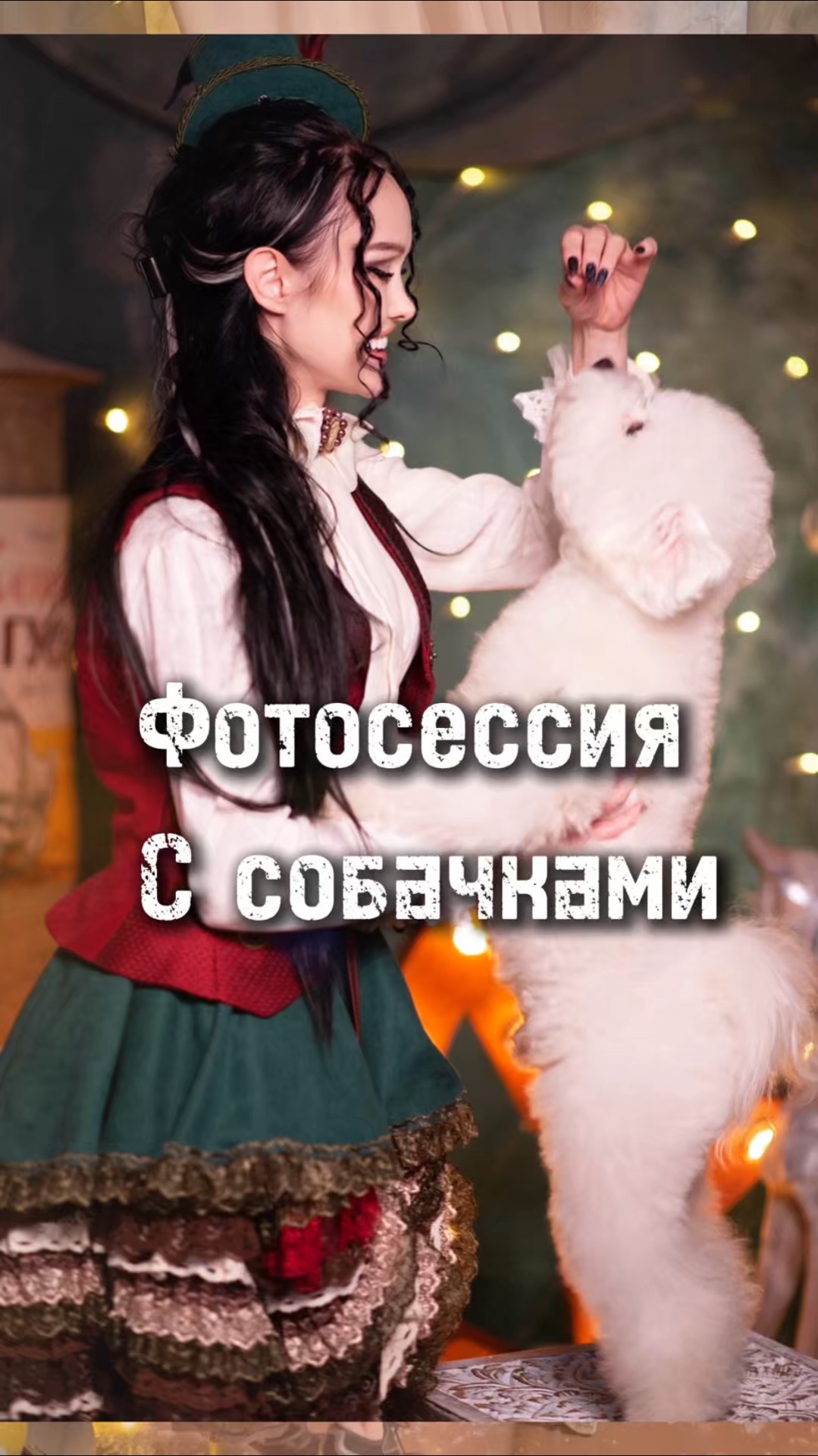 Фотосессия с собачками часть 1