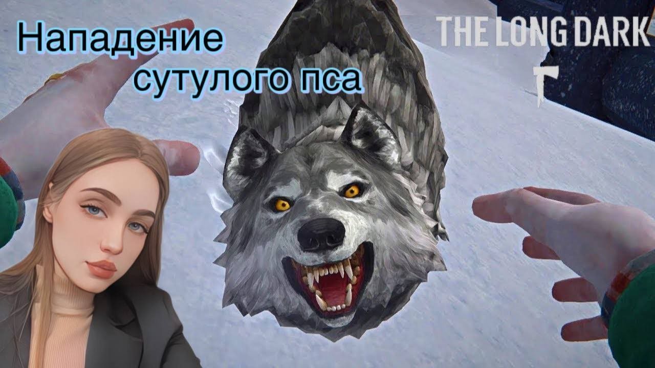 ВОЛКИ НЕ ДАЮТ МНЕ ПОКОЯ ► THE LONG DARK №2