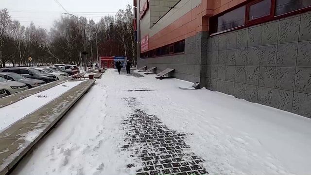 Хозяин продал свою собаку, вопросы остались.