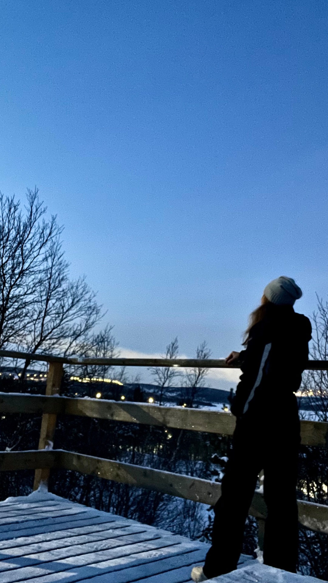 Нордик с белочками