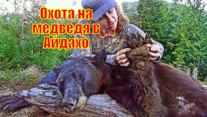 Охота на медведя в Айдахо
