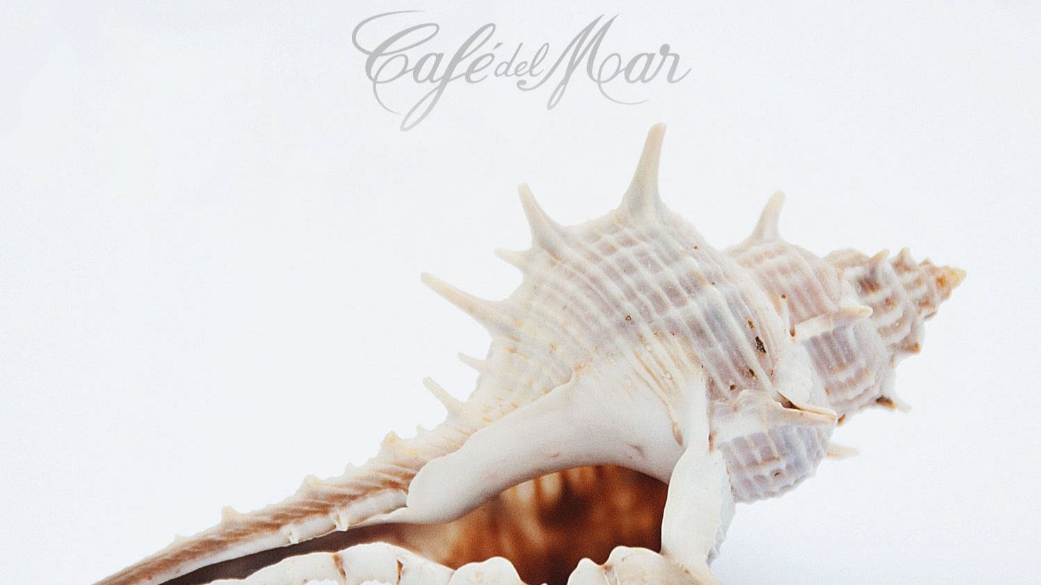 Café Del Mar 2020 - Volumen Veintiséis XXVI (1CD)