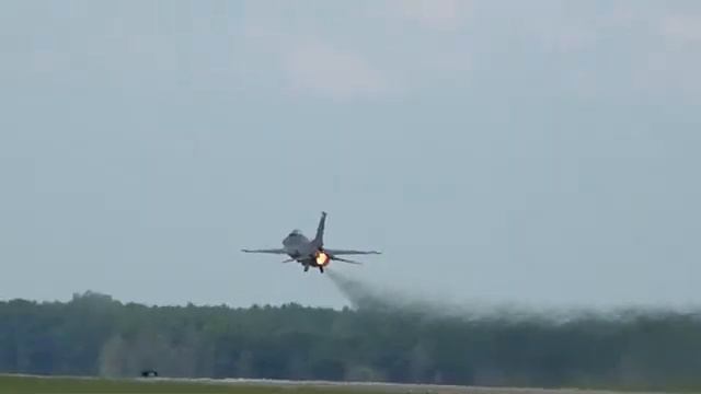 Holding Out For A Viper