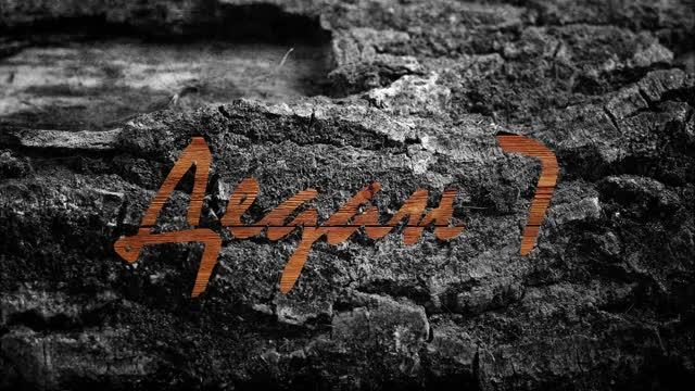 Дедан 7. 2021 Зеленая Нива