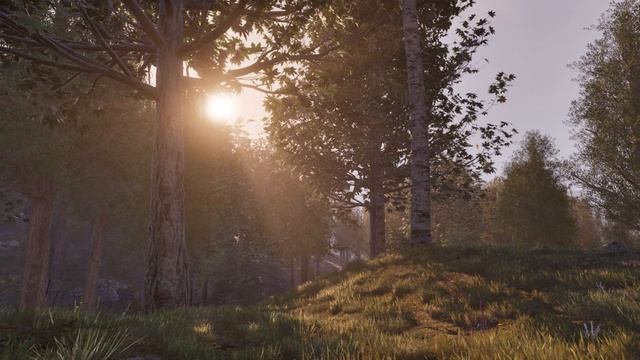 Harvest Dawn ｜ 3 Hours Elder Scrolls IV： Oblivion Remastered Music and Ambience