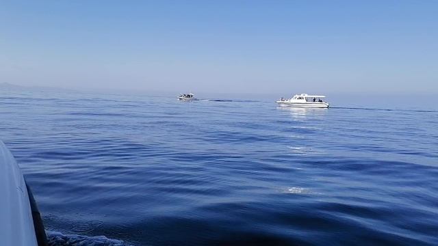 Морская прогулочка по Оманскому заливу