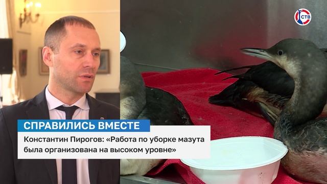 Константин Пирогов об организации работ по ликвидации мазута в Севастополе