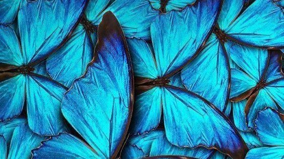 2026--БЛИЗНЕЦЫ