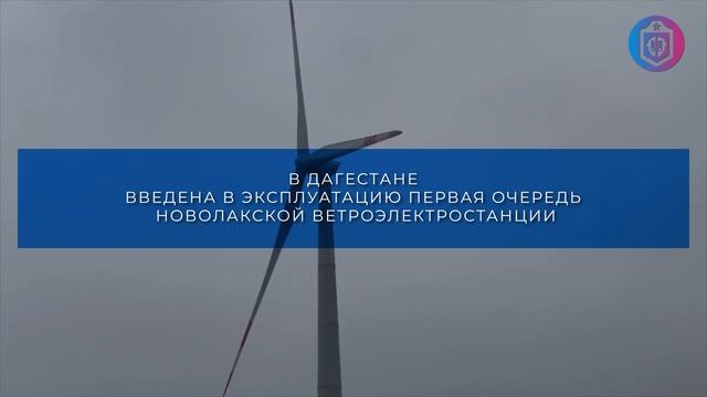 Когнитивная Витаминка № 292