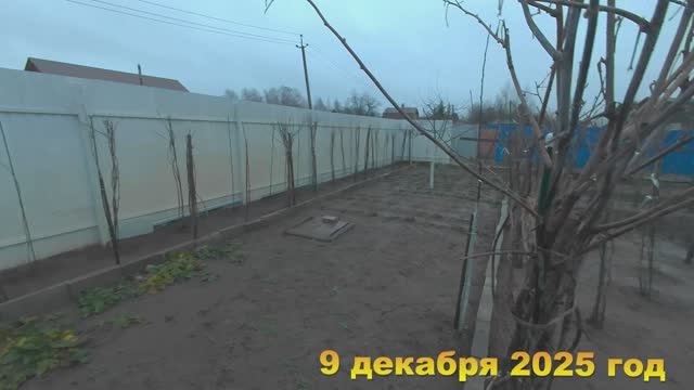 7 соток На даче снега нет, все залито... Хроника 9 декабря 2025 год
