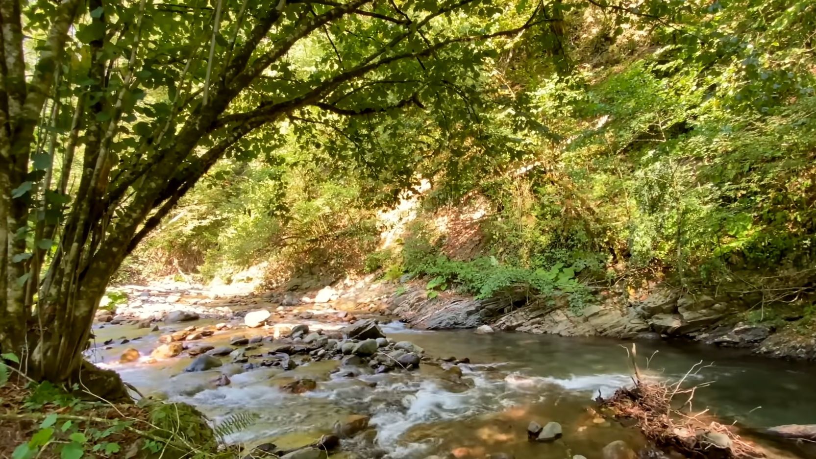 Звуки Горной Реки и Пение Лесных Птиц. 12 Часов Глубокого Сна.