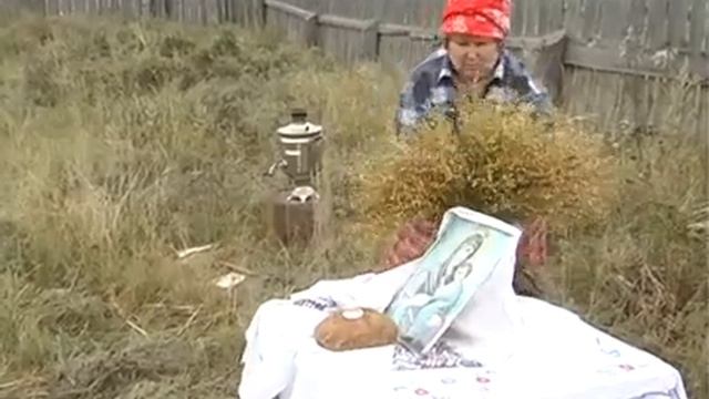 Лён п. Атагай_18. Первый зажиночный сноп