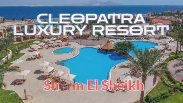 Отель Клеопатра. Египет
