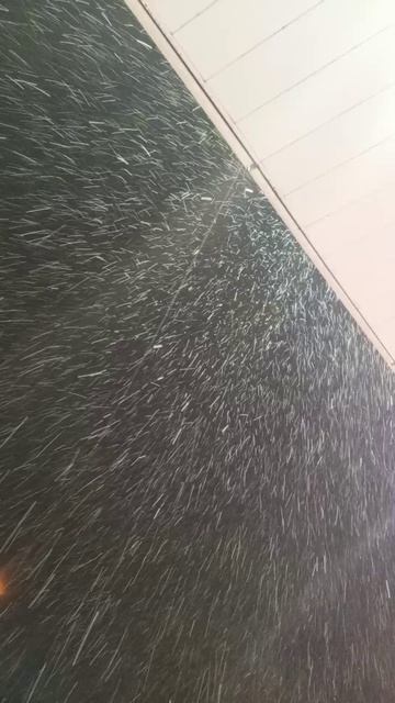 Стою у "Спара"