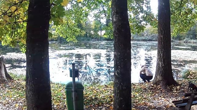 Квадрокоптер снимает Милю на озере