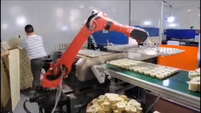 53. Перекладка 70 кругляшей за 1 раз на конвейере роботом BORUNTE