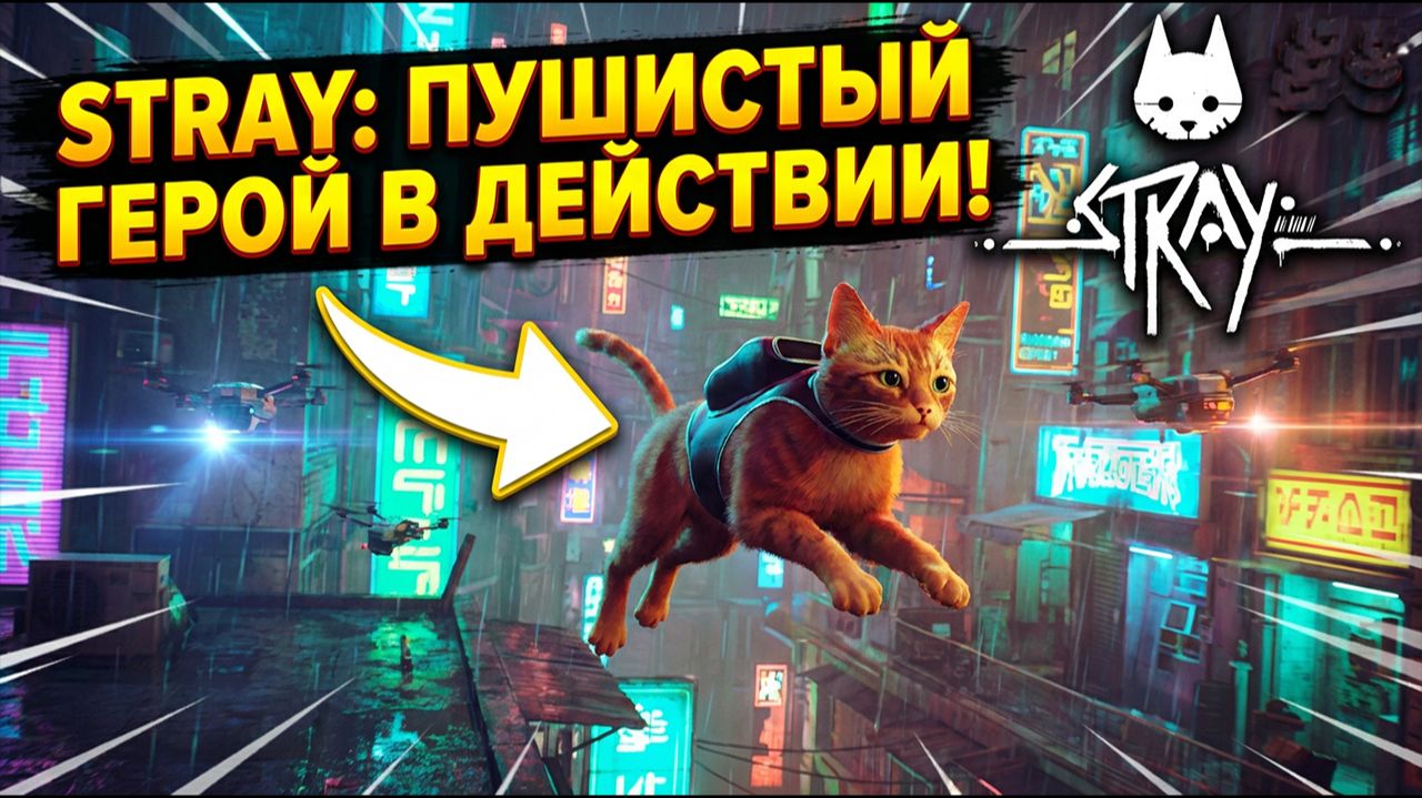 Пушистый герой Stray: квесты, смех и приключения»