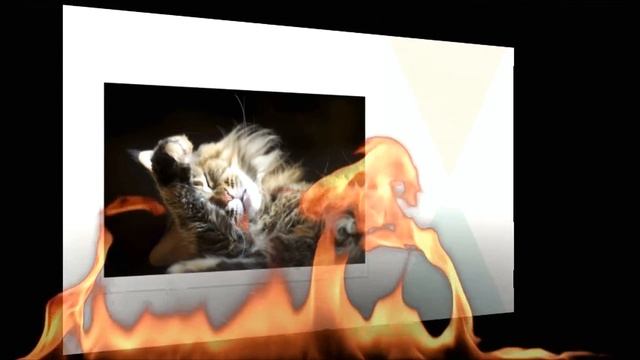 DBlack - Journey to Asia