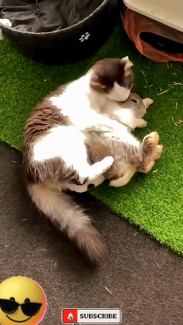 Смуглянка - Молдаванка 🫶🥰😎