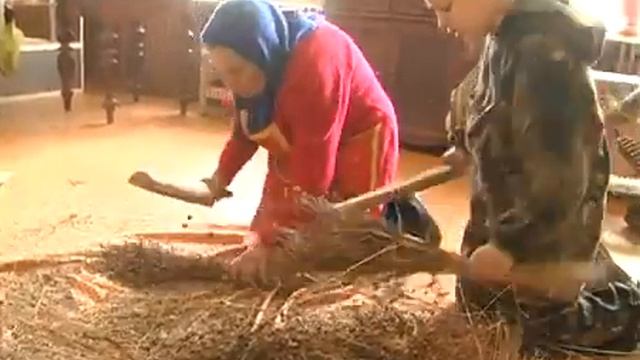 Лён п. Атагай_25. Отбивка семя льна