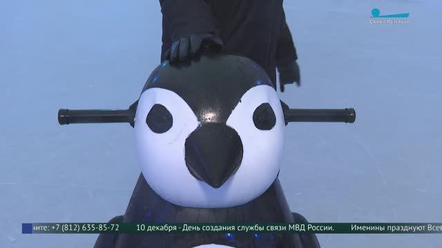 Бесплатные сеансы для жителей на катке у Флагштока