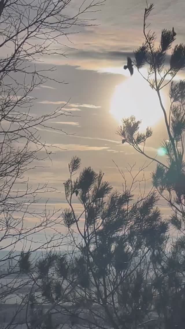 Воздушные схватки