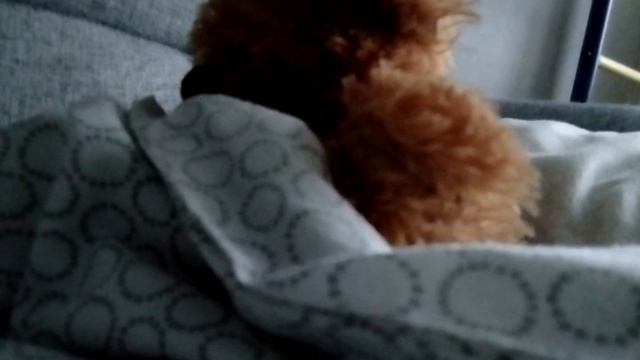 приключения медведя Берга 4 серия бессонница