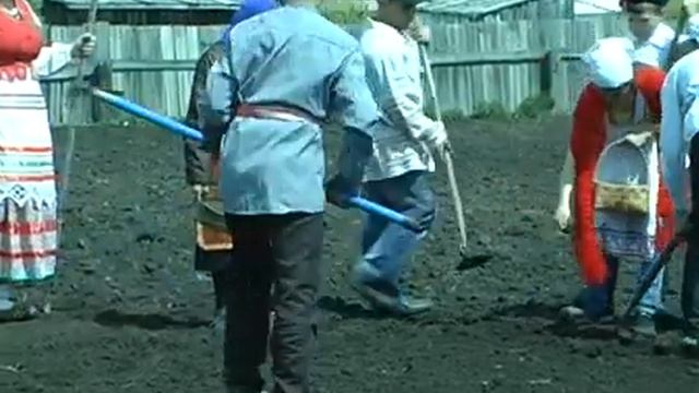 Лён п. Атагай_6. Посадка льна боронование