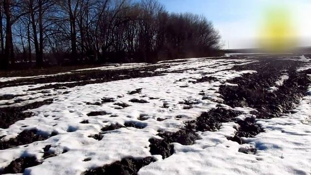 Посевные площади под медоносы. Моё пчеловодство