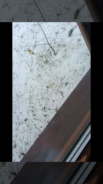 Зимааа ,холода ❄️