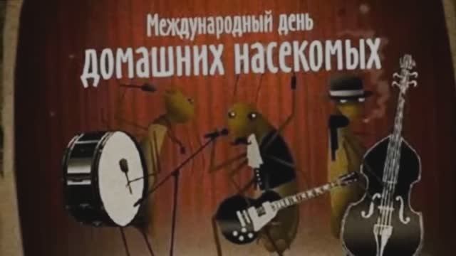 КЛОПЫ РОК -Н- РОЛЛ