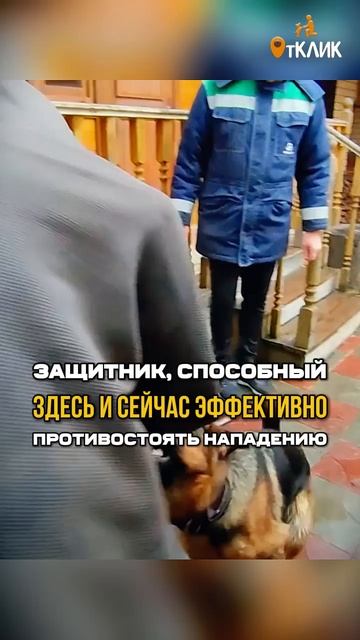 Угроза для злоумышленника.