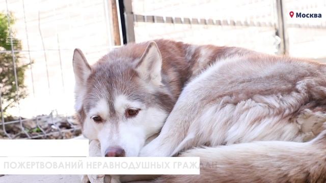 Реабилитация с «Метелицей»: от отчаяния к новой жизни