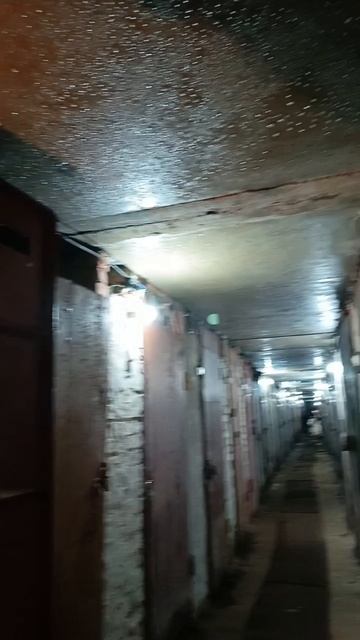 Купили овощную яму, приводим в порядок