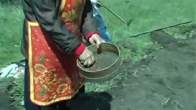 Лён п. Атагай_3. Просеивание семян льна