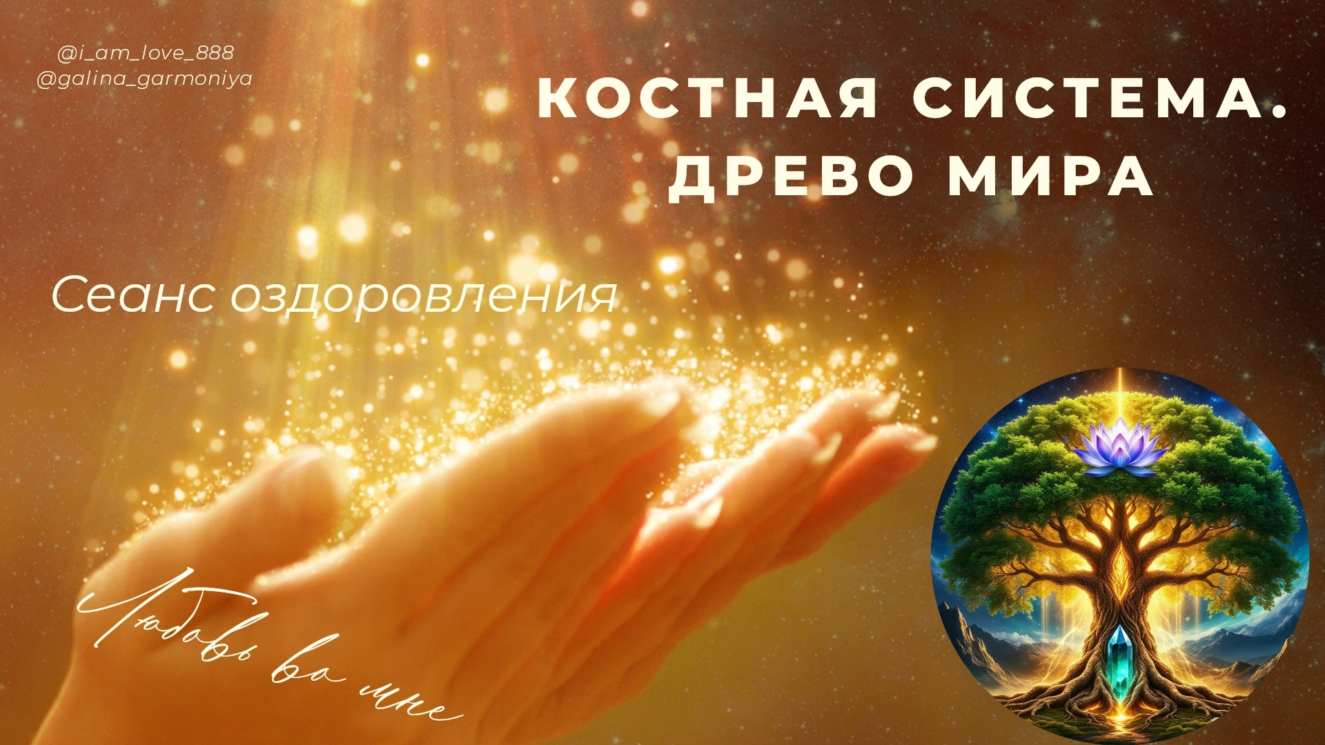 КОСТНАЯ СИСТЕМА.ЧАСТЬ 3. ДЕРЕВО МИРА