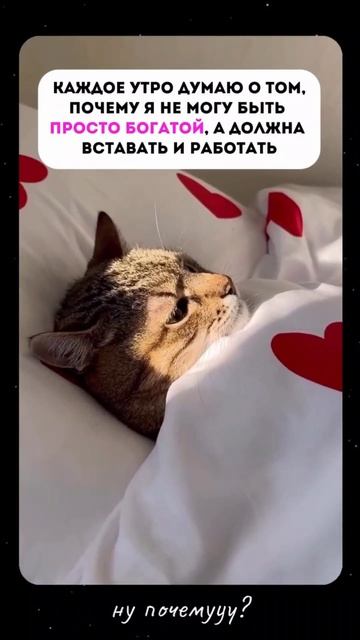 Вот правда... Почему одним дано, а другим нет? #котики #юмор #жиза #рек #топ #шутка #философия #коты