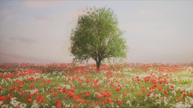 Pink Floyd - Shine On You Crazy Diamond, Prelude