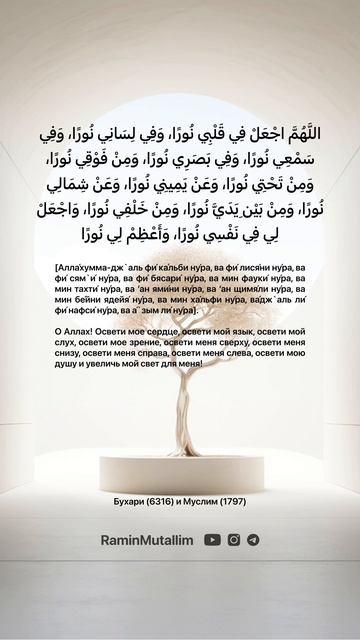 📖 Nº19 ДОСТОВЕРНЫЕ МОЛИТВЫ ПРОРОКА ﷺ