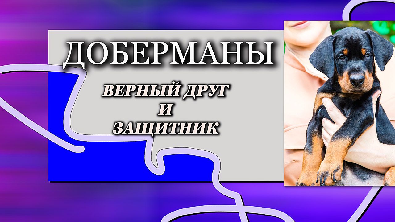 Классные Доберманы, Щенки из Московского Питомника.