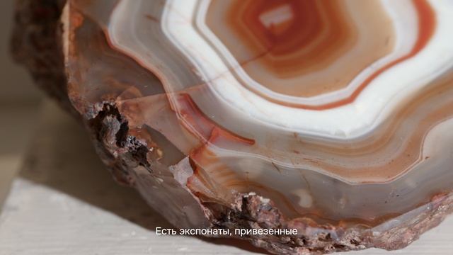 Музейные заметки | Витрина