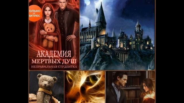 Прорицательница. Академия мертвых душ. Книга 3