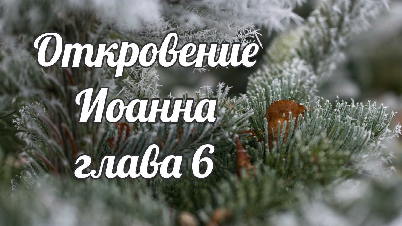 Откровение Иоанна глава 6