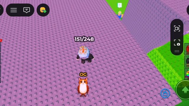 играю в find a brainrot