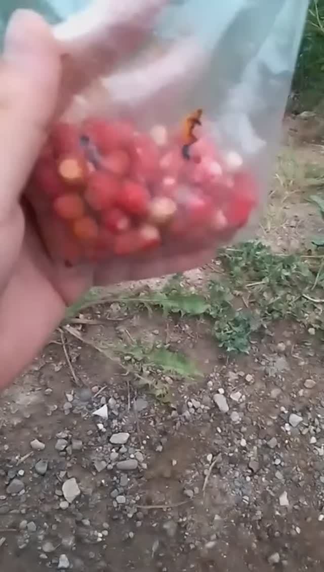 Лайфхаки на рыбалке