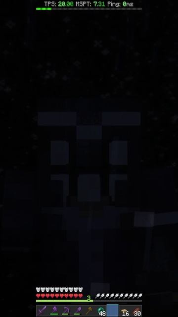 новогоднее измерение #майнкрафт #маин #маинкрафт #майн #fm2y #майнкрафтмоды #хардкор