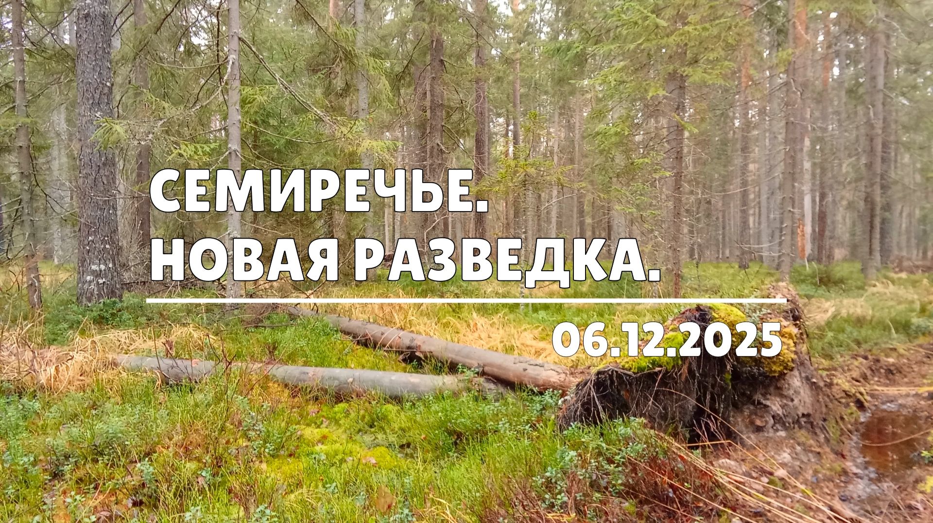 Семиречье. Новая разведка (06.12.2025)