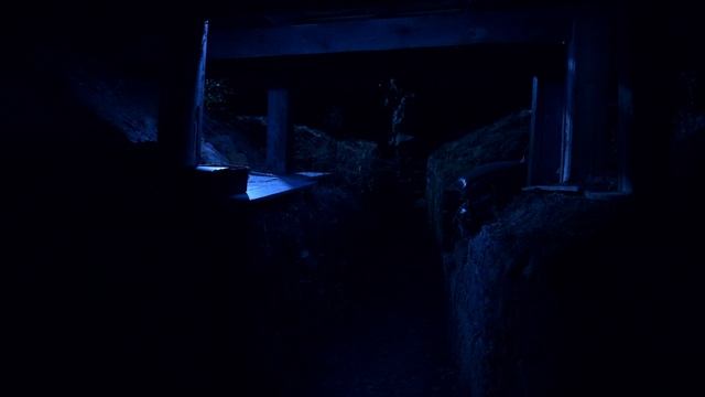 Наш код — единство