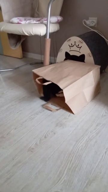 Пакетик! чем не счастье! :)