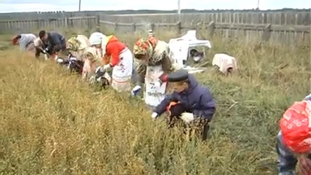 Лён п. Атагай_19. Уборка льна